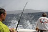 Verdens beste marlin-fiske - Vi Menn