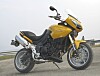 Triumph Tiger - Mc