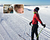 Helene Rask skadet i skiulykke: - Jeg har hatt englevakt