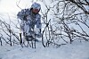 Fangstliv på vidda | Finnmarksvidda - Villmarksliv