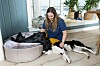 Dette Sier Hundetrener Maren Teien Rørvik Om Hund På Kennel Underholdning