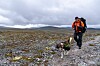 Lars Monsen klar med ny serie på NRK - Underholdning